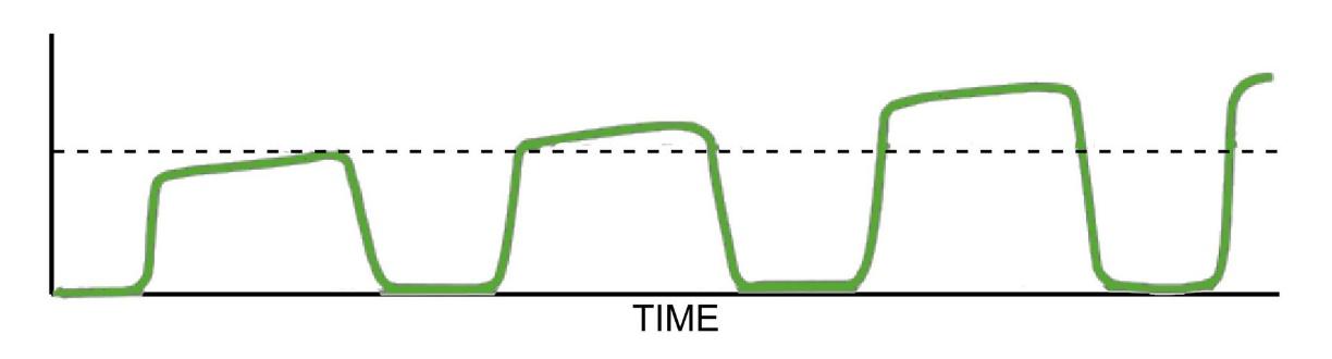 Waveform Capnography