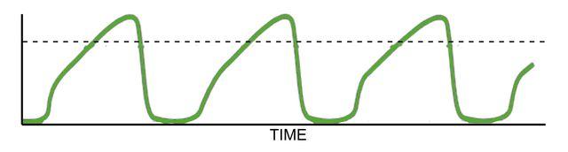 Waveform Capnography
