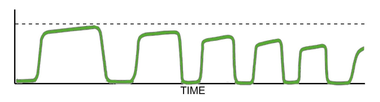 Waveform Capnography