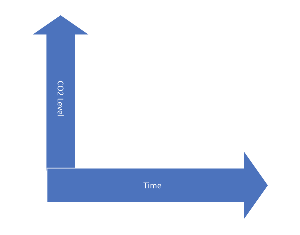 Waveform Capnography